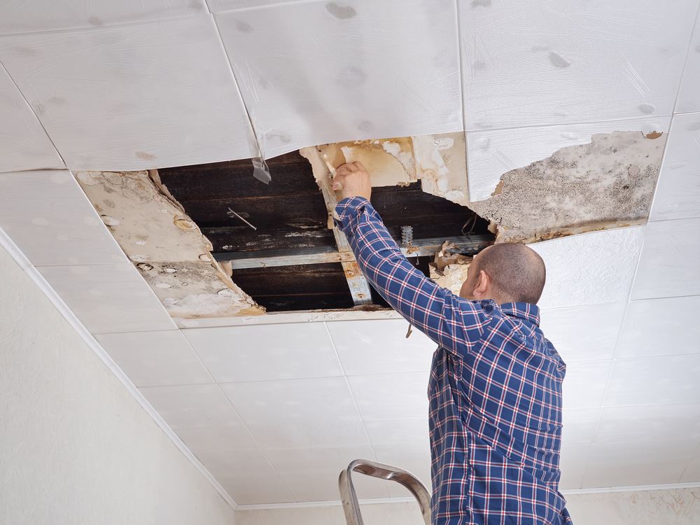 Bronx Ceiling Collapse: The Danger Lurking Overhead